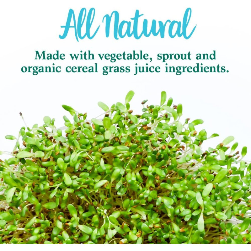 Perfect Food Super Green Formula Powder 300 grams de Garden of Life