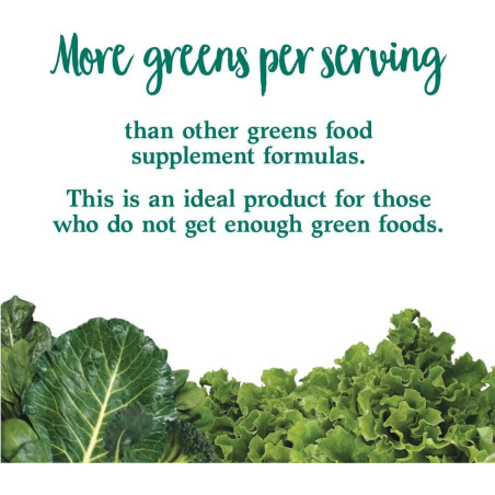 Perfect Food Super Green Formula Powder 300 grams de Garden of Life