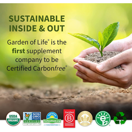 Perfect Food Super Green Formula Powder 300 grams de Garden of Life